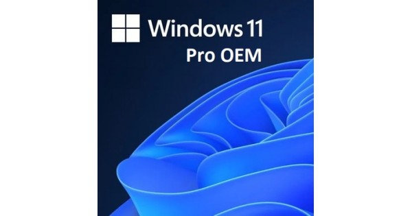 Windows 11 Pro OEM 64Bit İngilizce